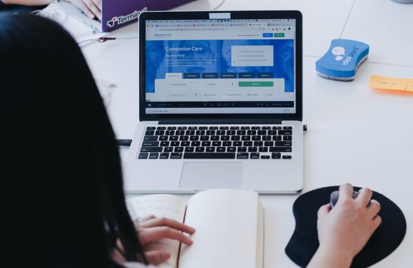 What is a DOT Background Check?