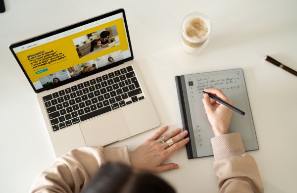 What is Employment History Background Check?