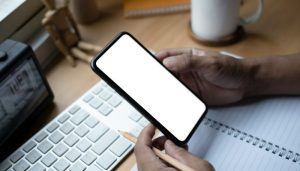 How to Search License by Name? Step-by-Step Guide